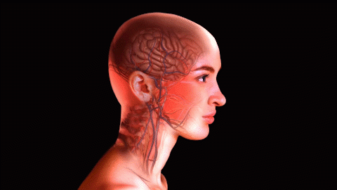 Stroke - Umente